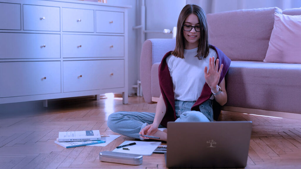 English Language Arts, Grade 9 AB - Branches Learning